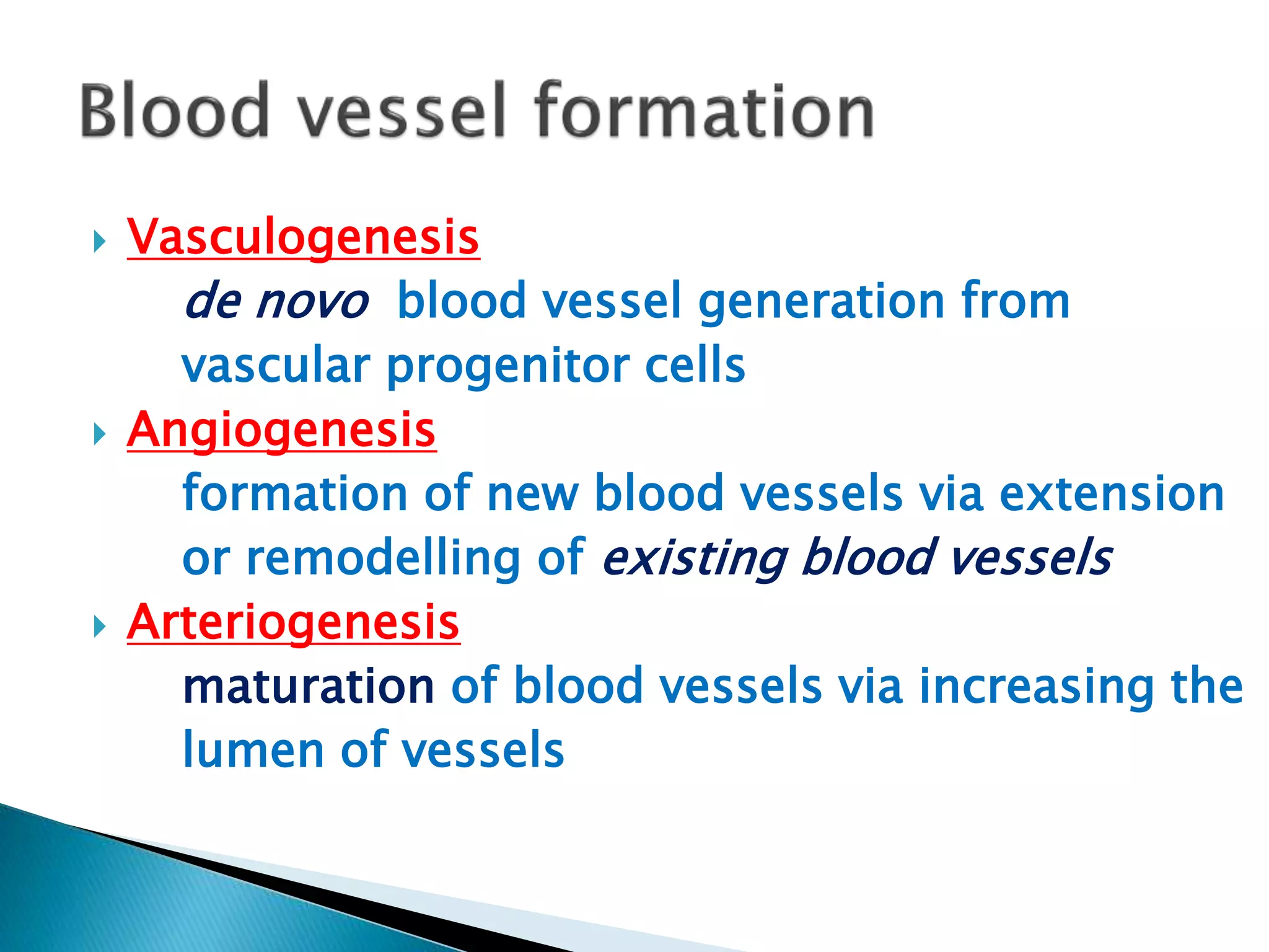 Angiogenesis in health and disease | PPTX