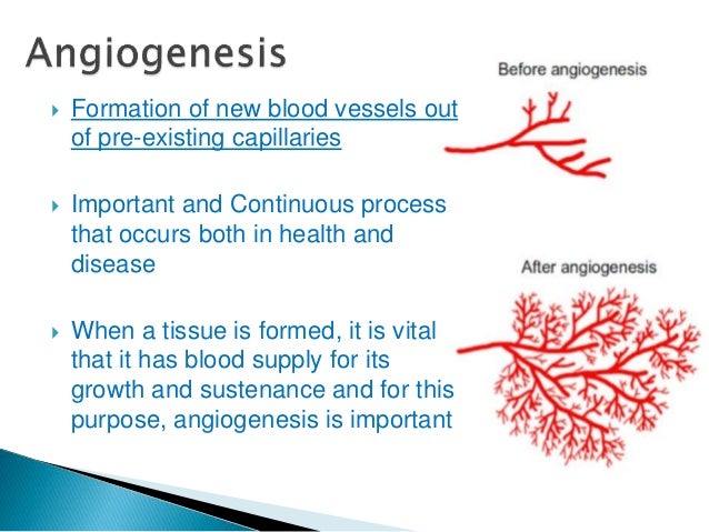 Angiogenesis in health and disease