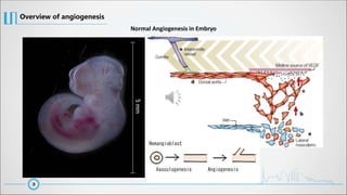 Angiogenesis | PPTX