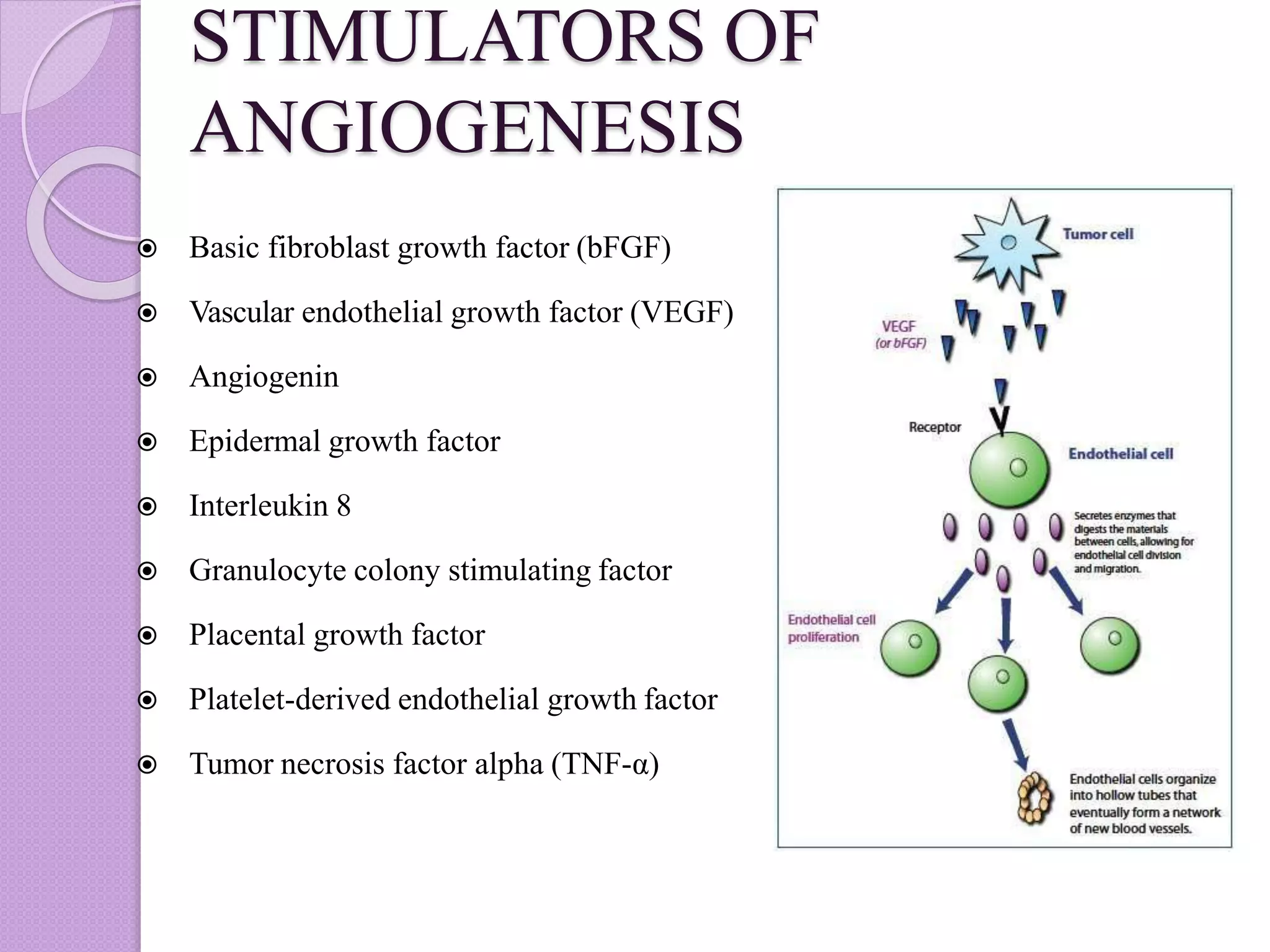 Angiogenesis | PPTX