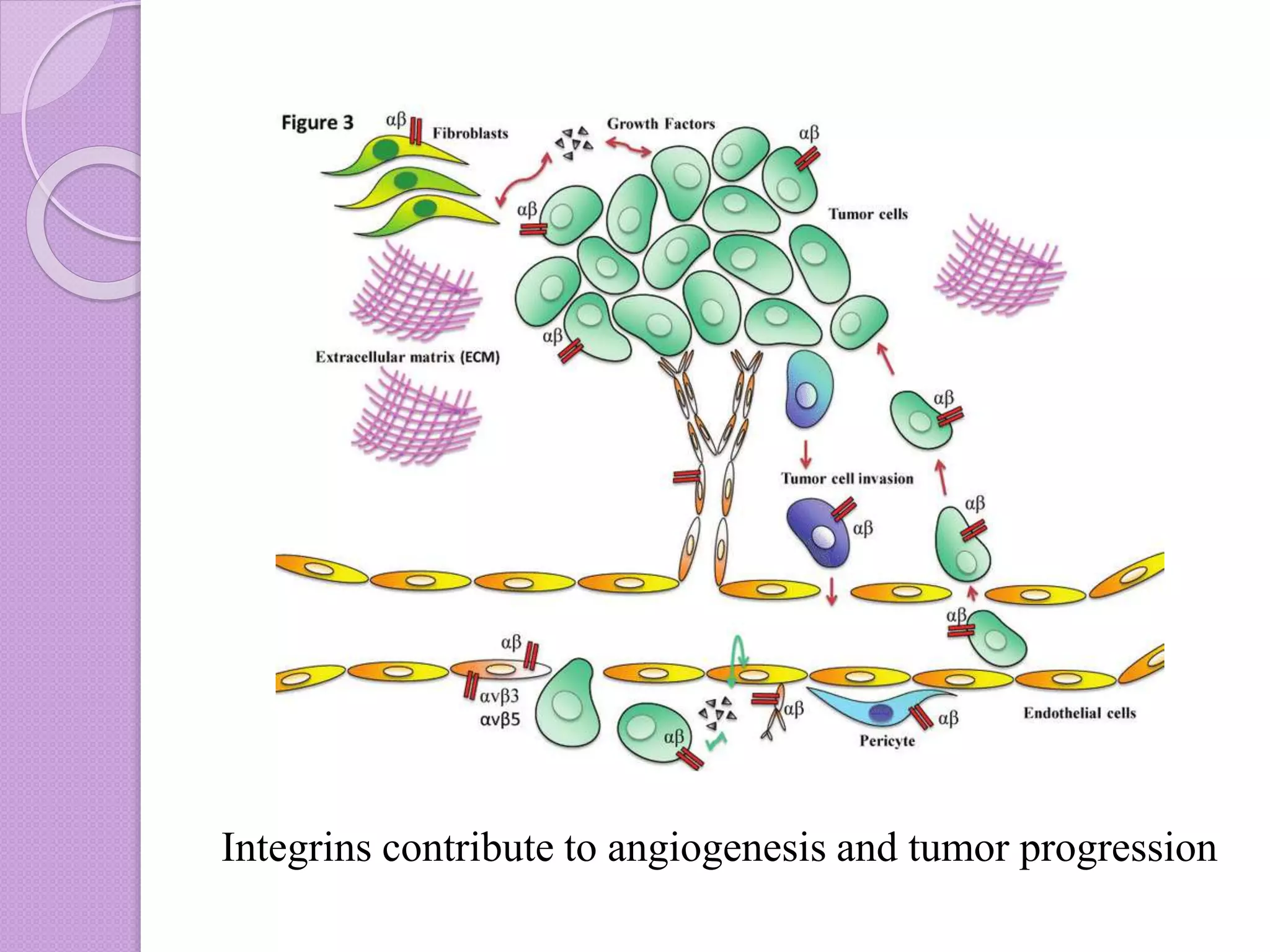 Angiogenesis | PPTX