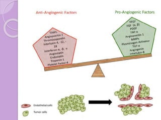 Angiogenesis | PPT