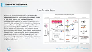 Angiogenesis | PPT