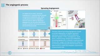 Angiogenesis | PPT