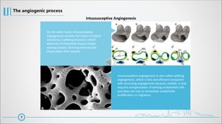 Angiogenesis | PPT
