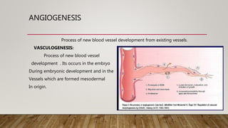 Angiogenesis.pptx