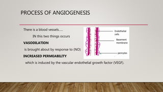 Angiogenesis.pptx