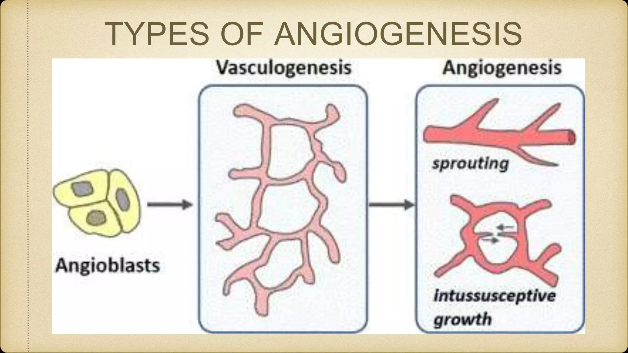 angiogenesis..pptx