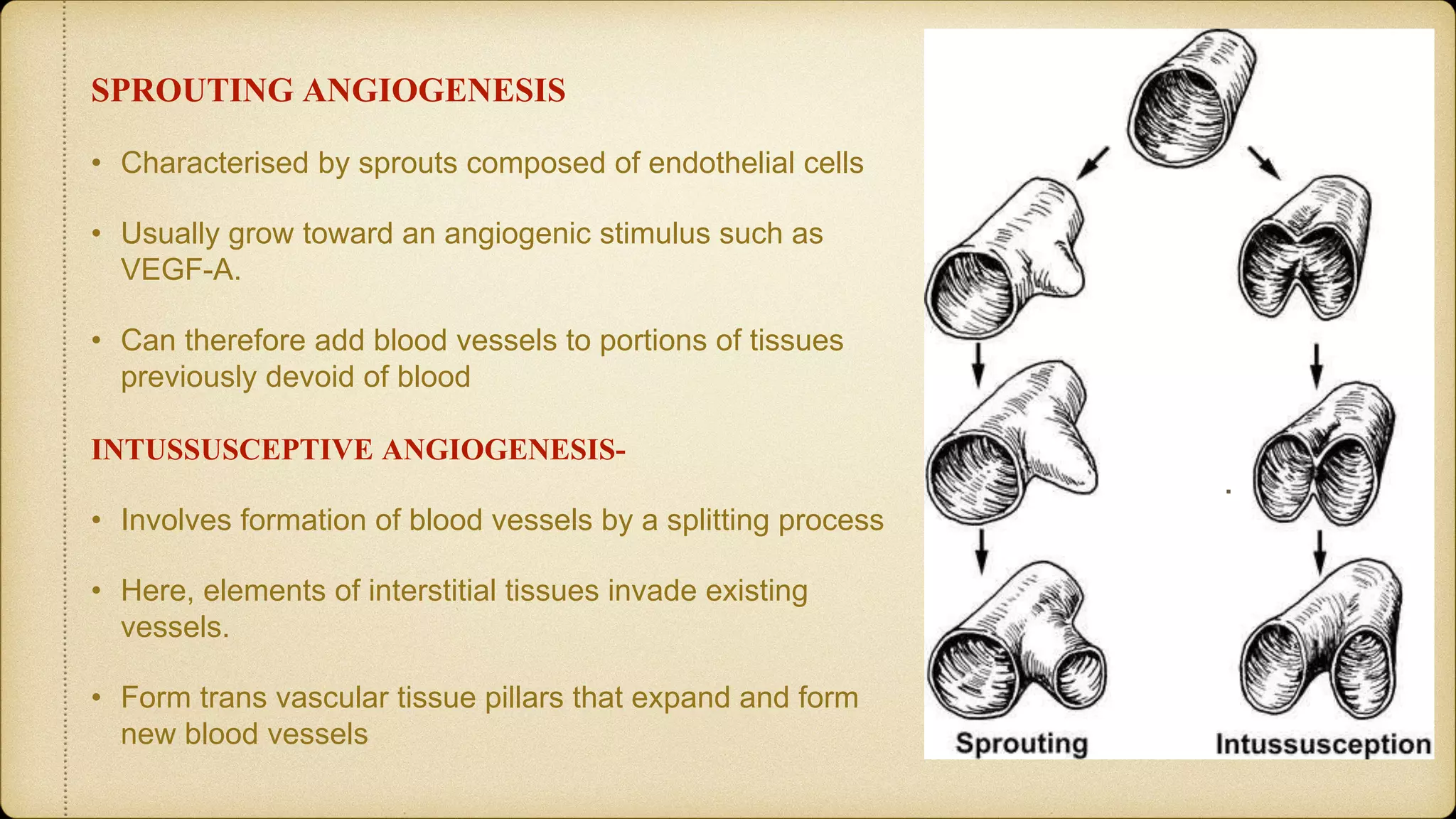 angiogenesis..pptx