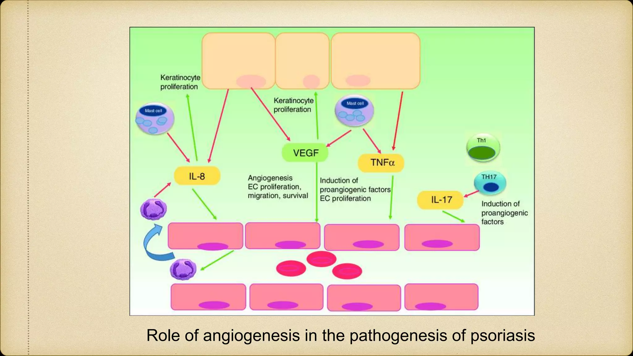 angiogenesis..pptx