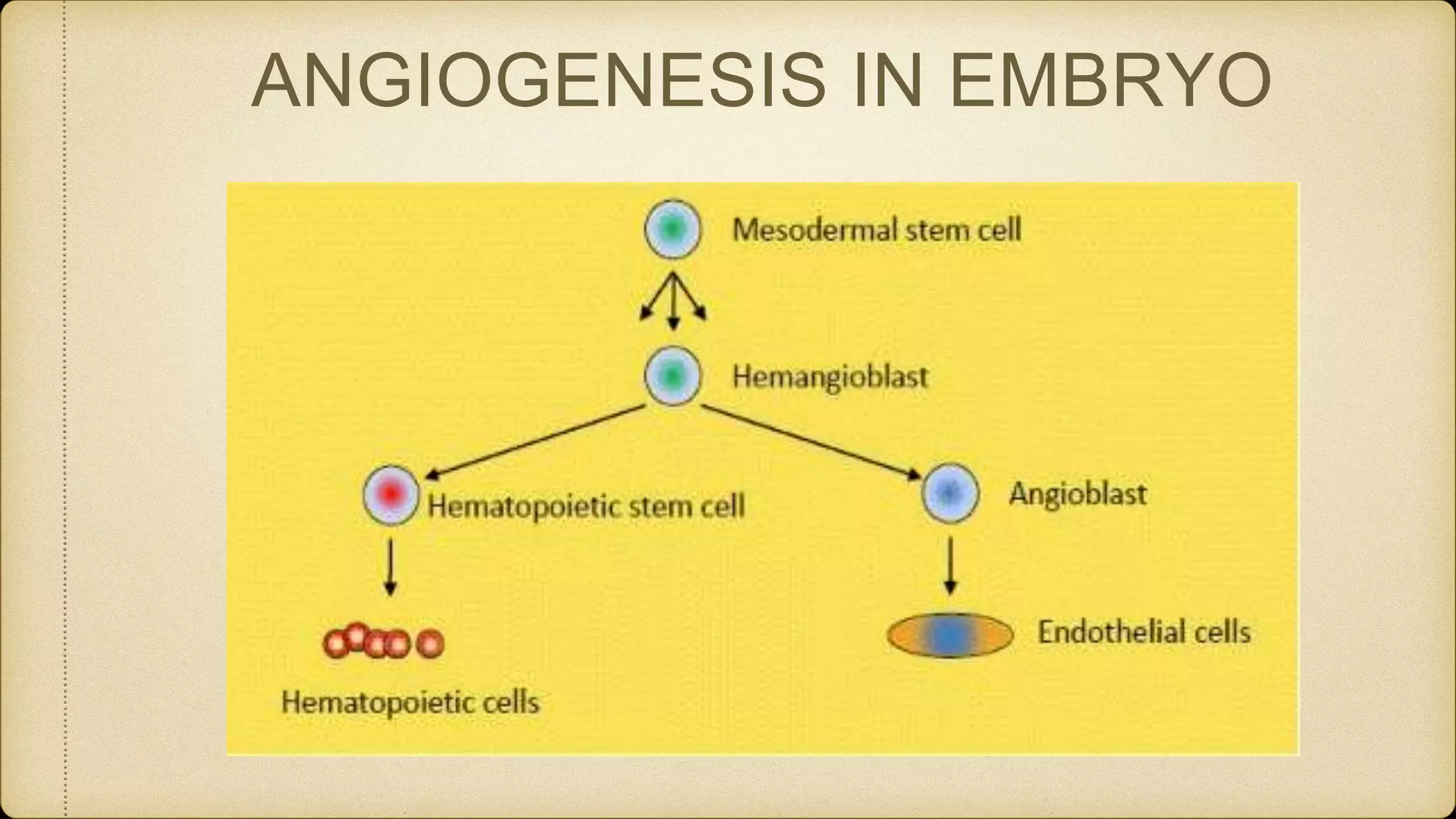 angiogenesis..pptx