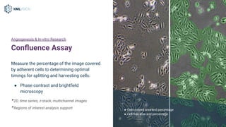 Angiogenesis Use Cases Solved with IKOSA | PDF