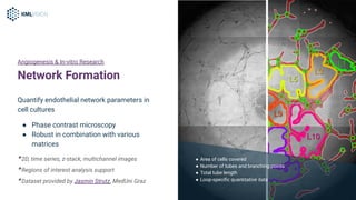 Angiogenesis Use Cases Solved with IKOSA | PDF