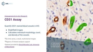 Angiogenesis Use Cases Solved with IKOSA | PDF
