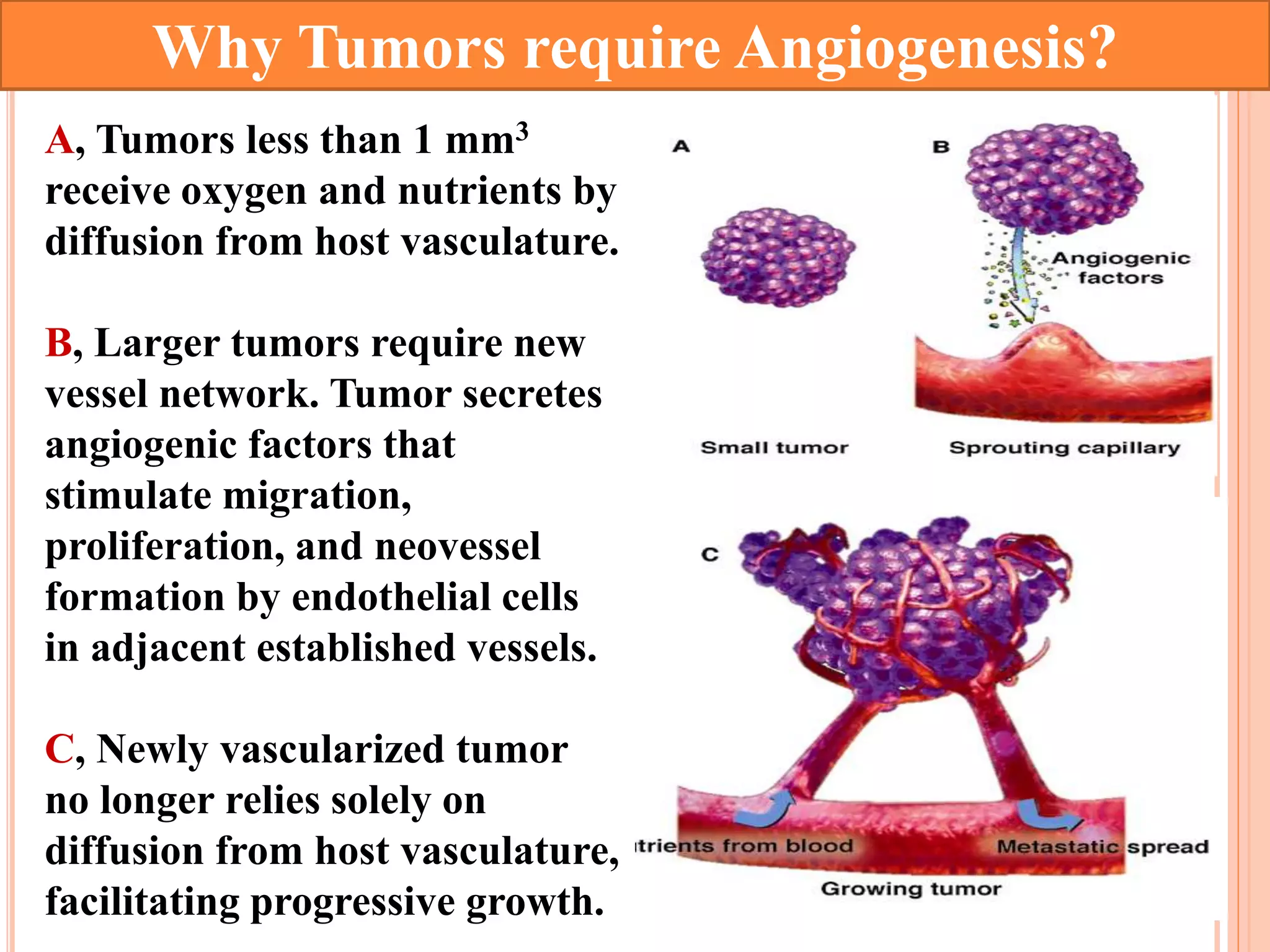 Angiogenesis in health and disease | PPTX