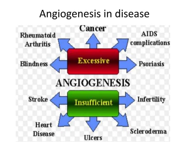 Angiogenesis in health and disease.pptx