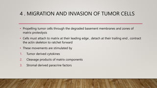 angiogenesis, invasion , metastasis.pptx