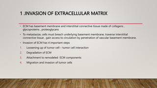 angiogenesis, invasion , metastasis.pptx