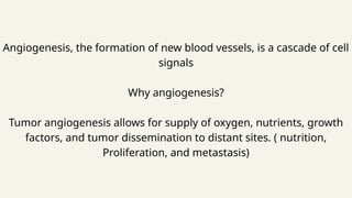 Angiogenesis of Cancer Cellvhhhvvvs.pptx
