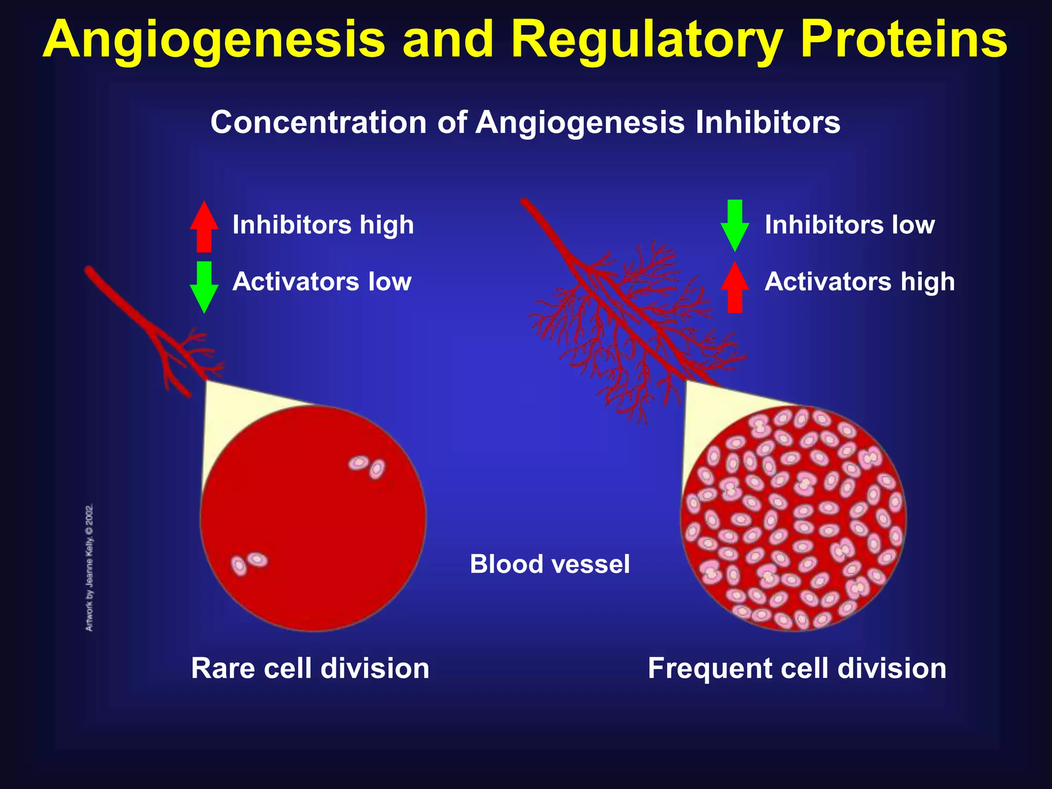 Angiogenesis presentation | PPTX