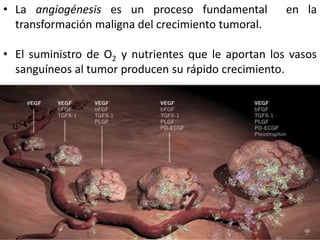 Angiogénesis | PPTX | Cancer | Diseases and Conditions
