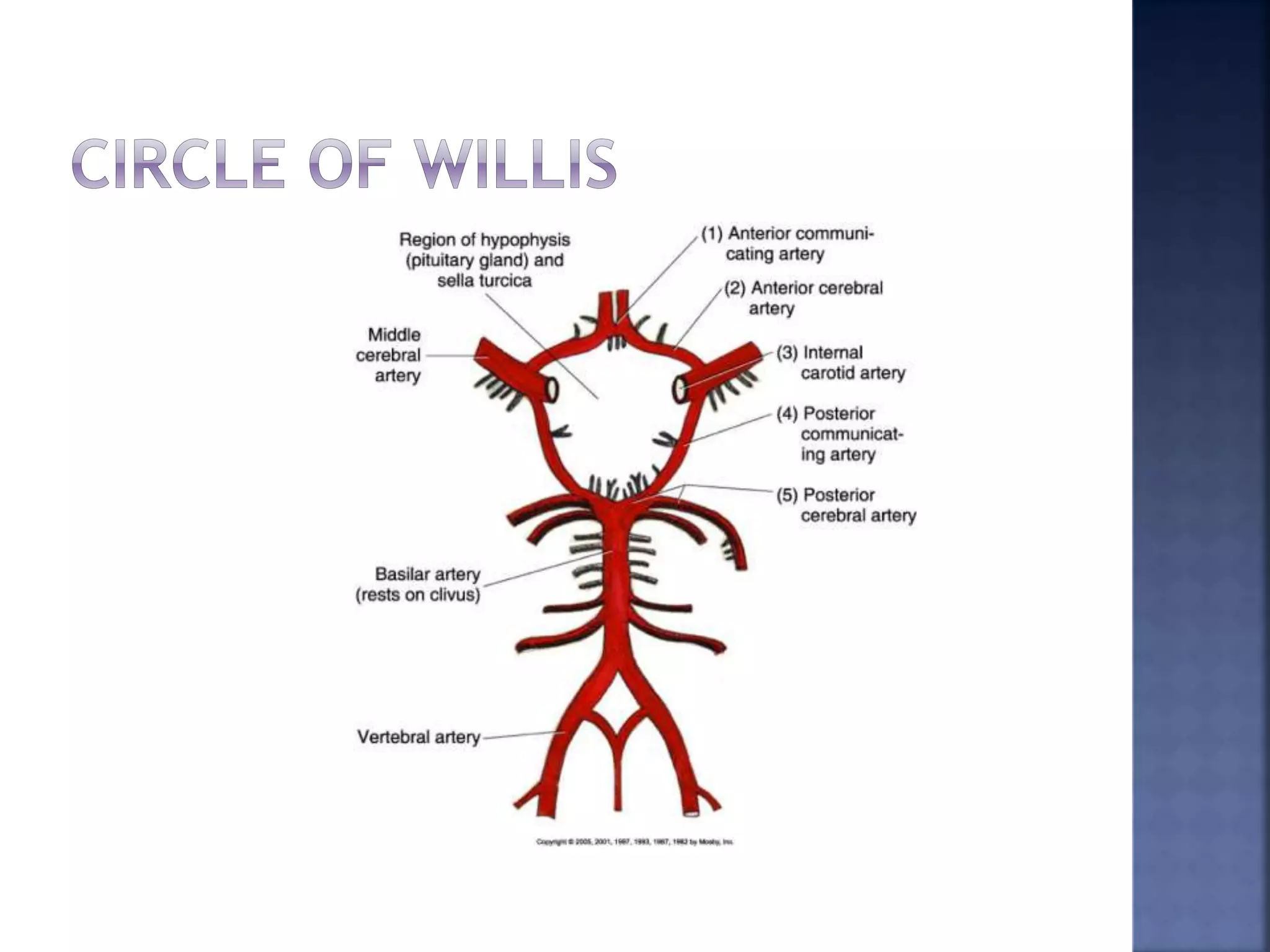 Angiography | PPTX