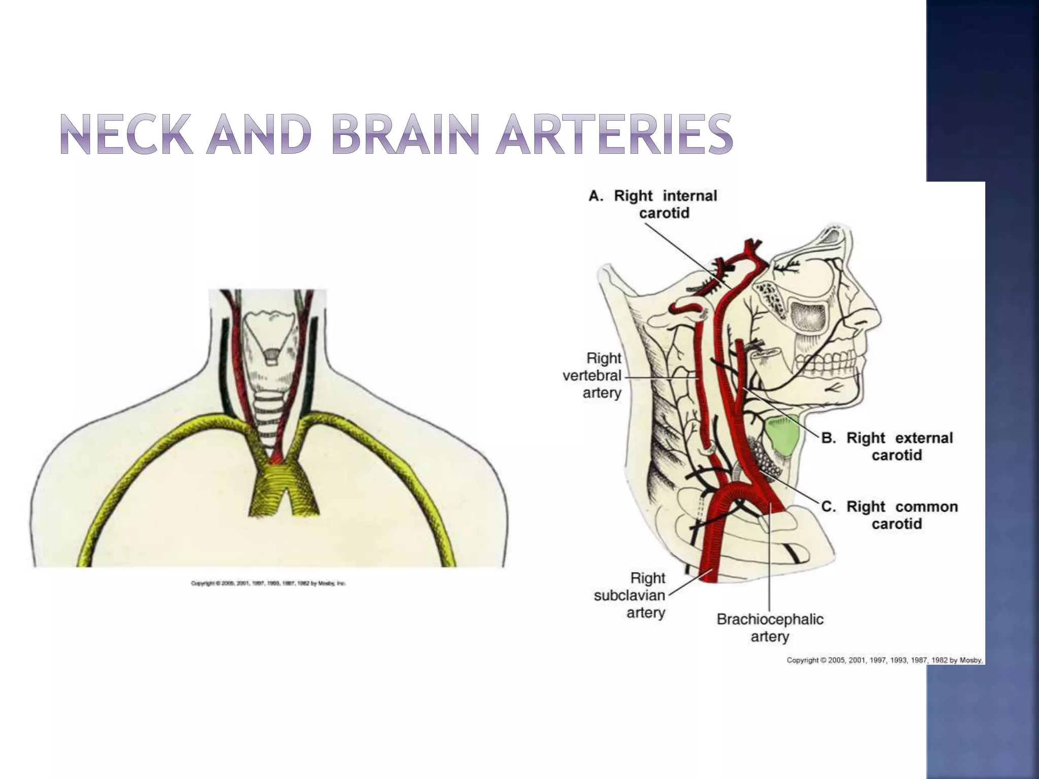 Angiography | PPTX
