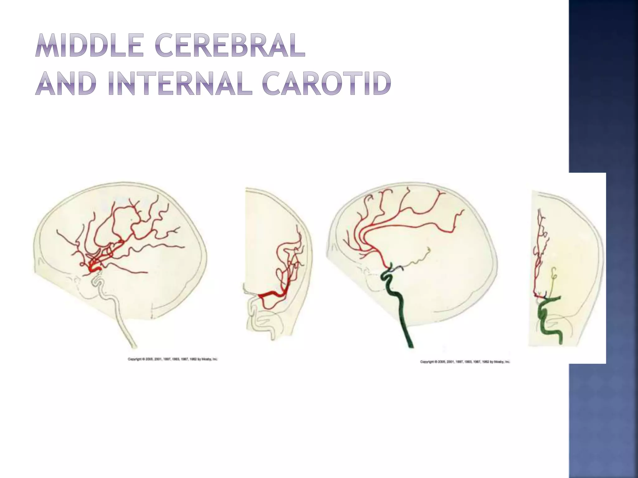 Angiography | PPTX