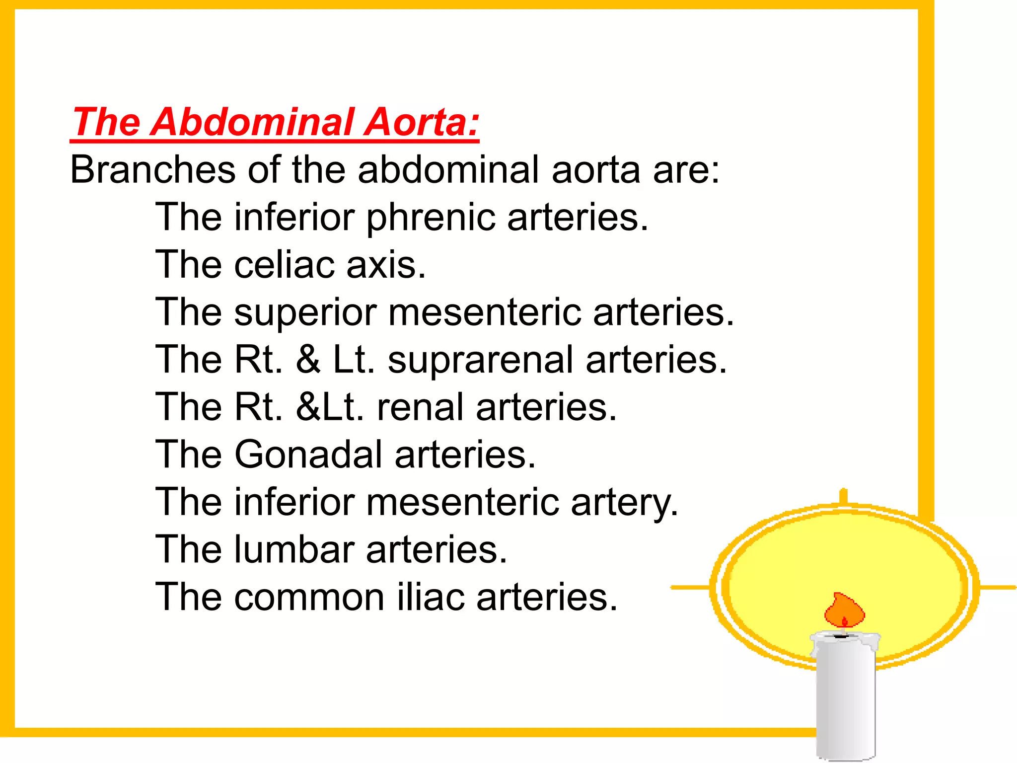 Angiography {arteriography} | PPSX