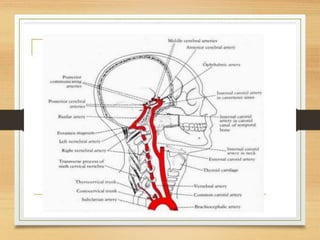 Angiography of Head and Neck | PPTX
