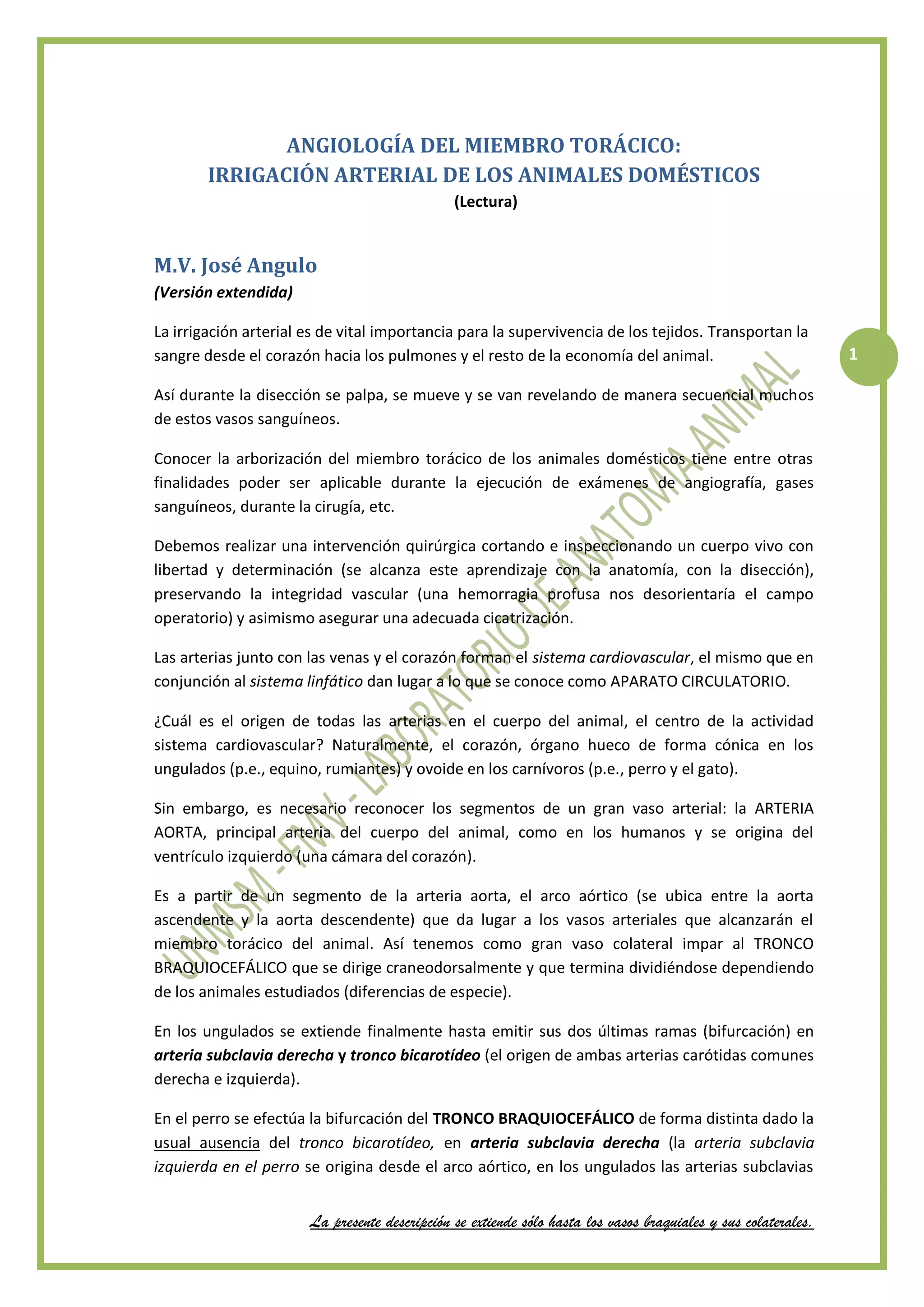 Angiología miembro torácico animal | PDF