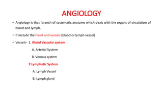 ANGIOLOGY (1).pdf angiology myology and the view of a good | PDF