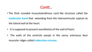 ANGIOLOGY (1).pdf angiology myology and the view of a good | PDF ...