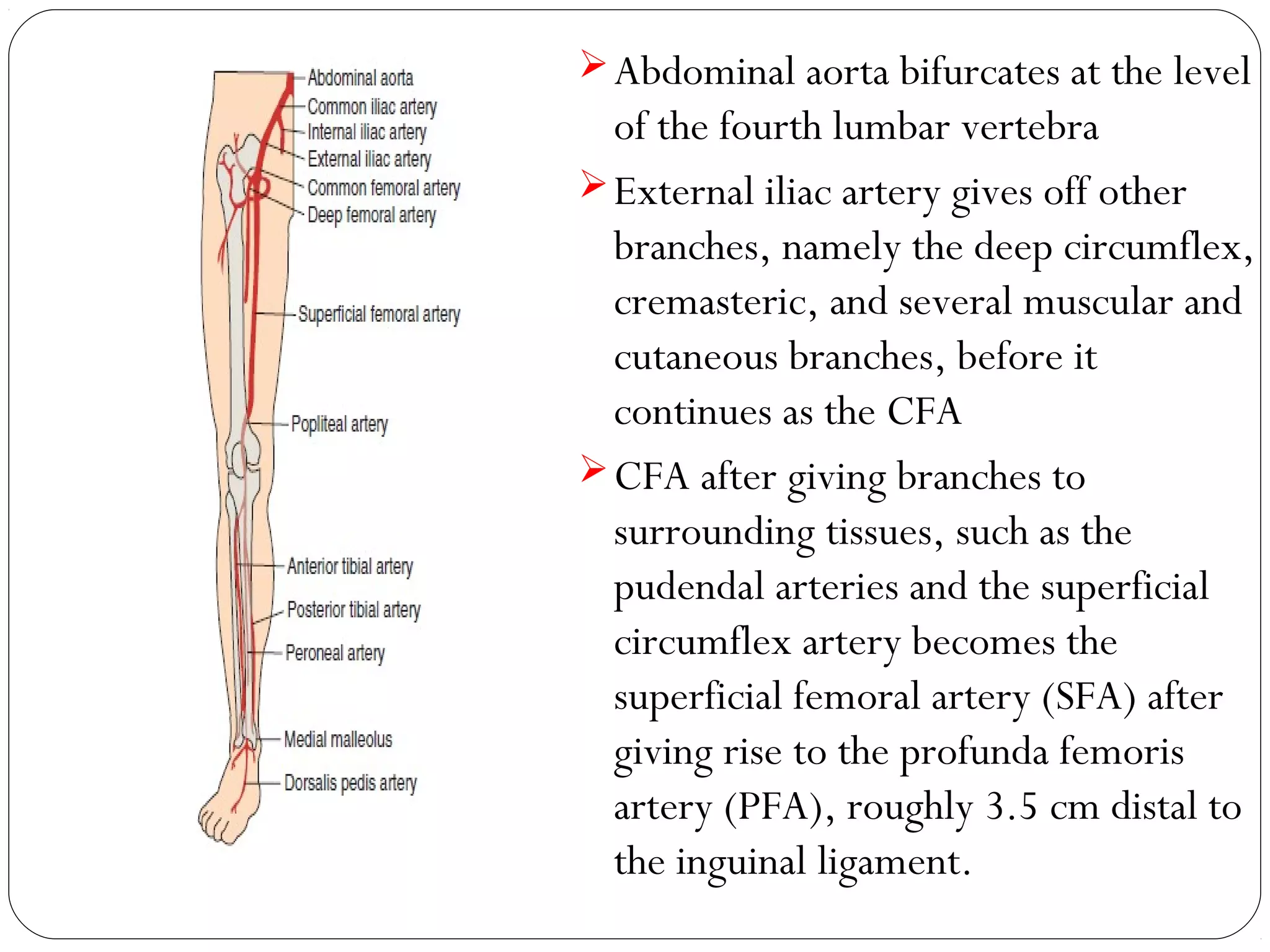 Angioplasty in chronic lower limb ischemia | PPT