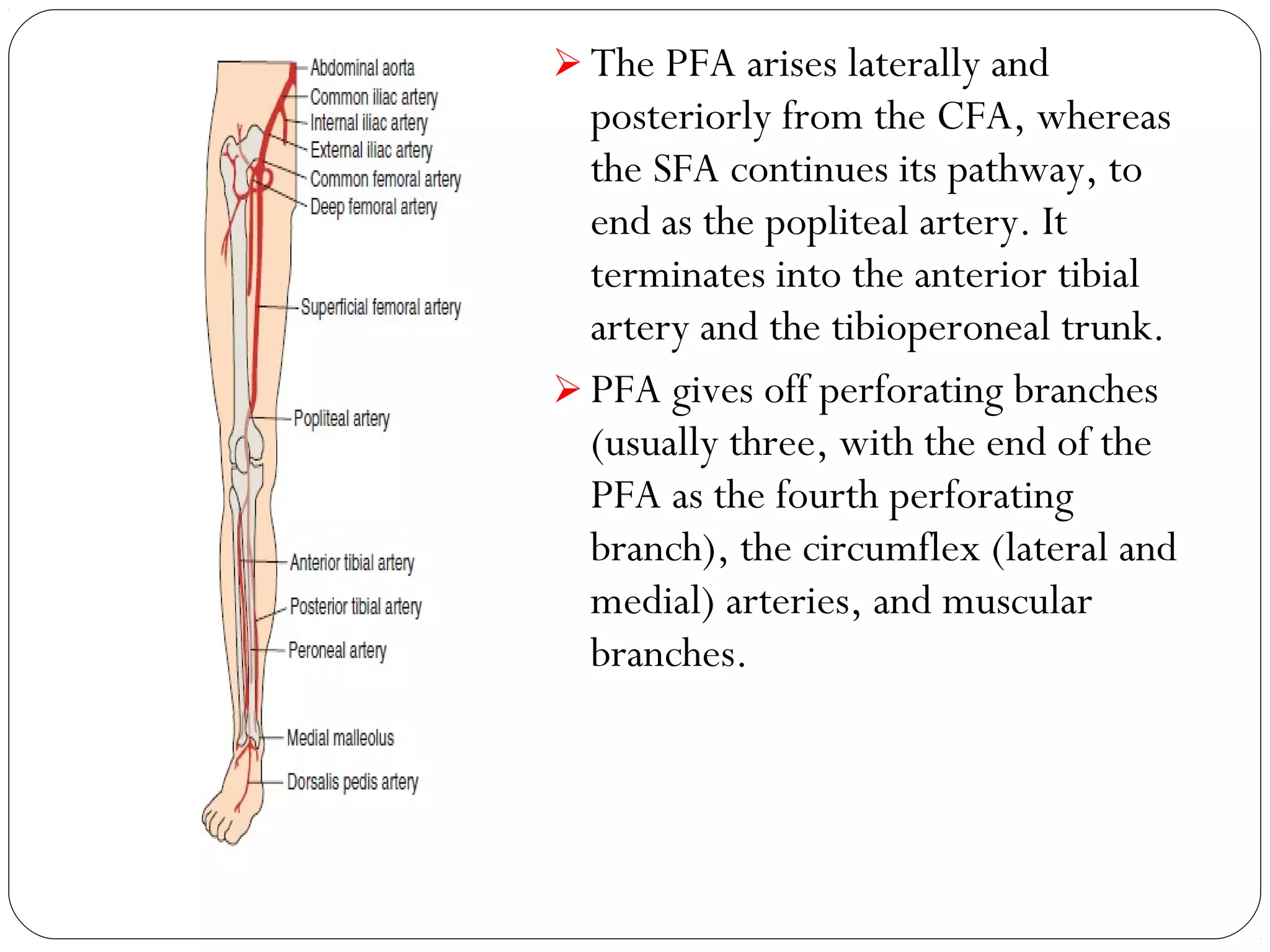 Angioplasty in chronic lower limb ischemia | PPT