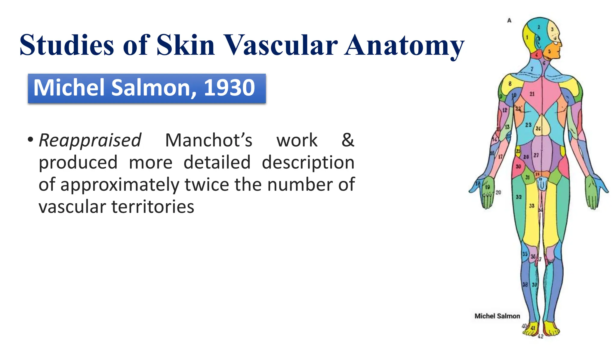Angiosome Theory of Skin Vascular Territories | PPTX