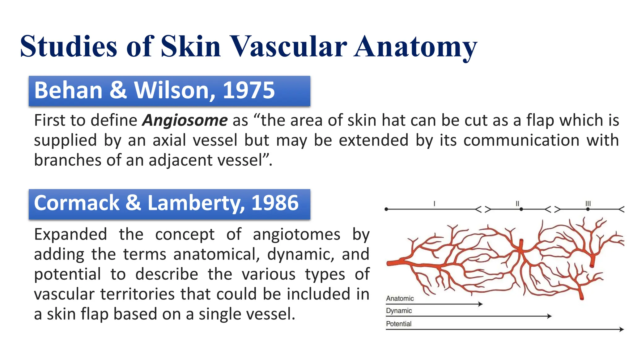 Angiosome Theory of Skin Vascular Territories | PPTX