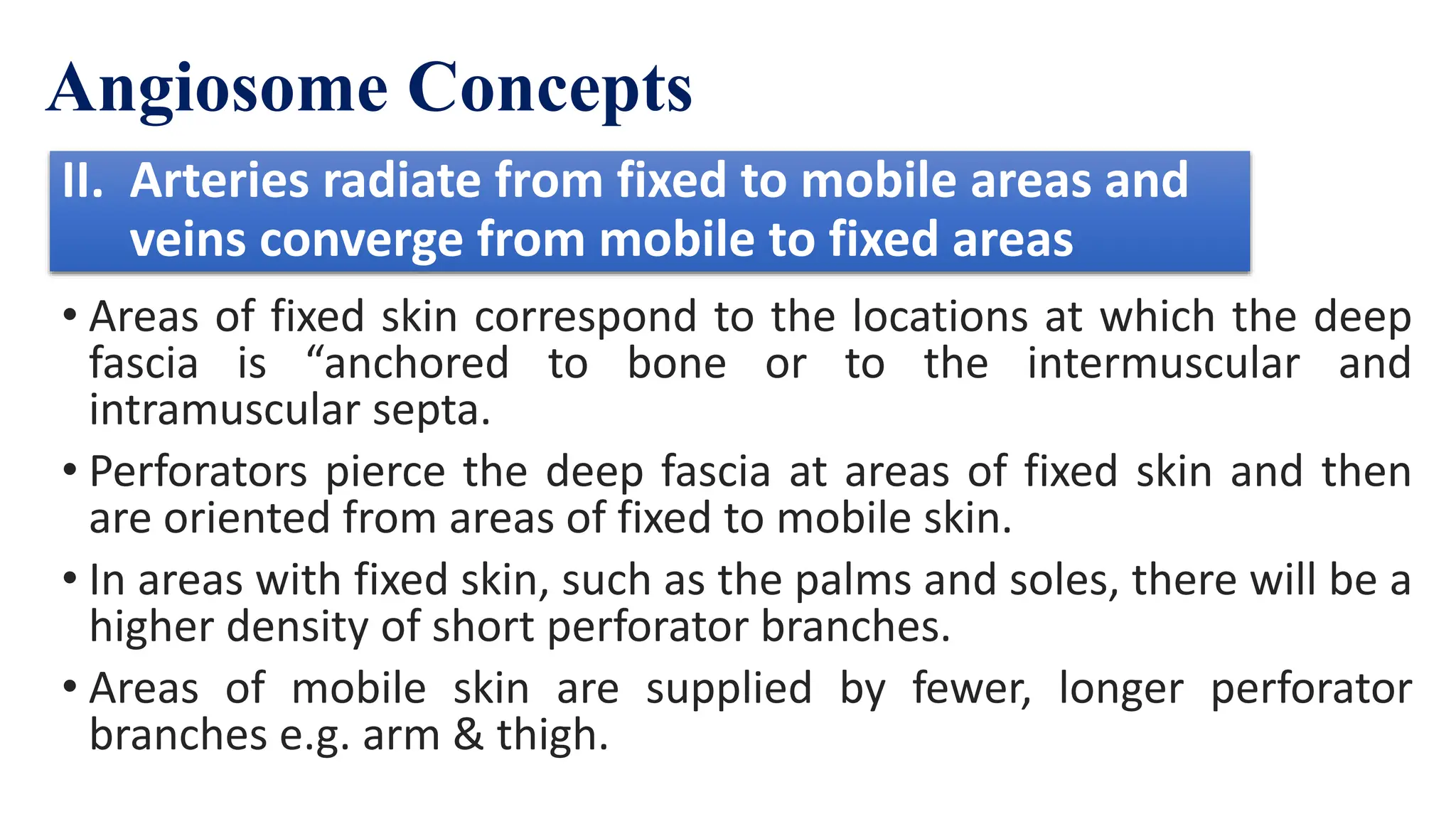 Angiosome Theory of Skin Vascular Territories | PPTX