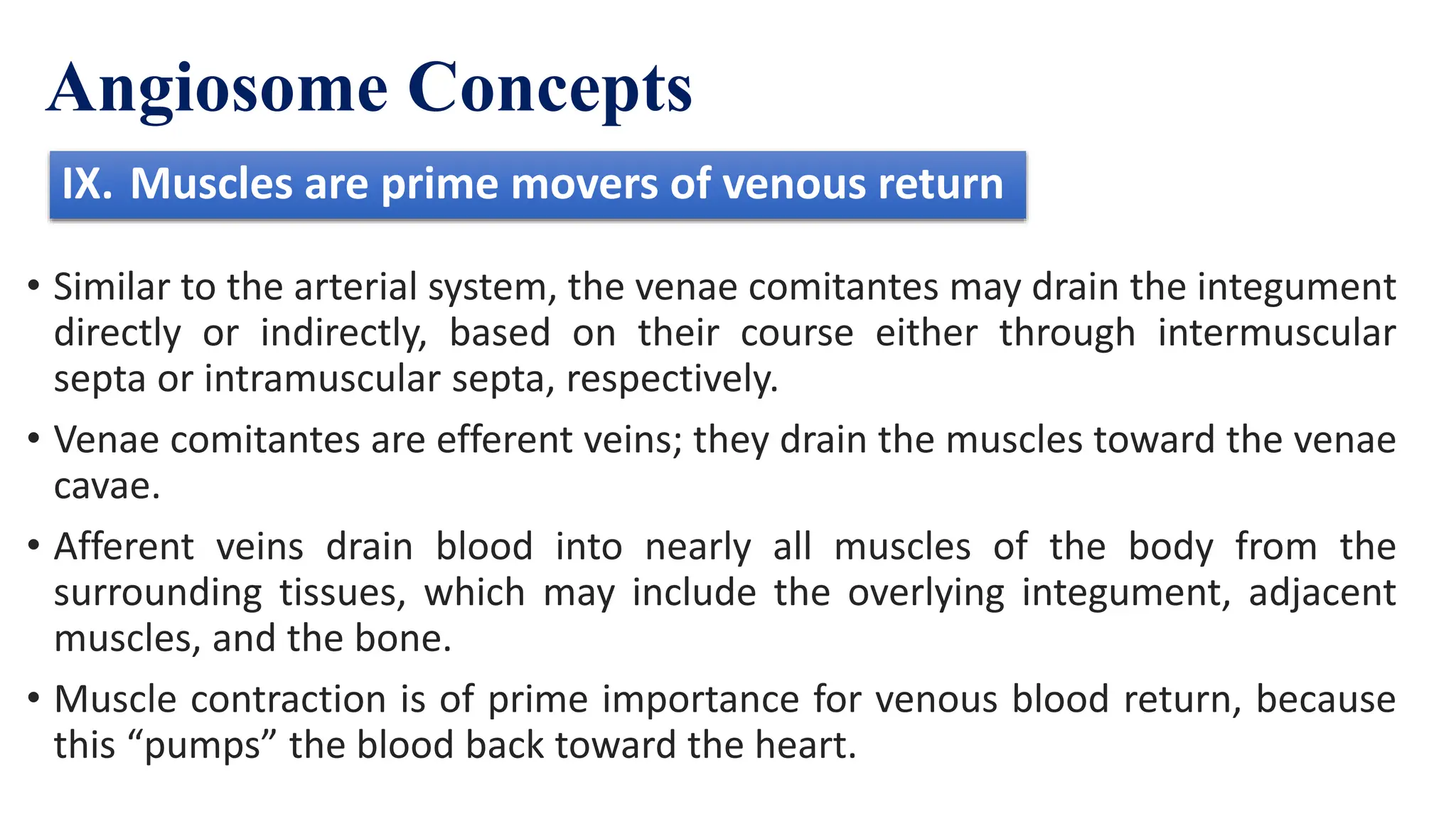 Angiosome Theory of Skin Vascular Territories | PPTX