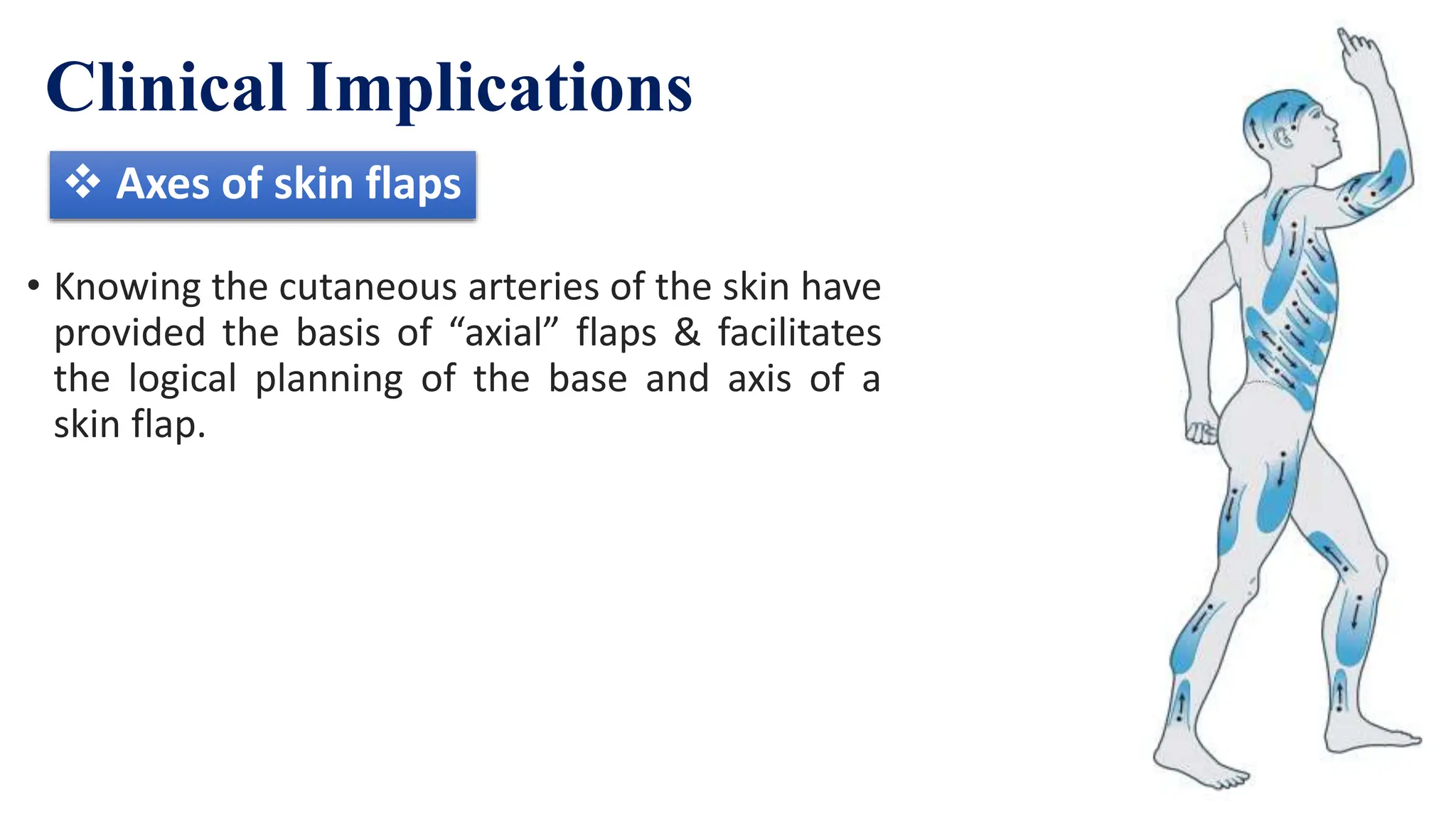 Angiosome Theory of Skin Vascular Territories | PPTX