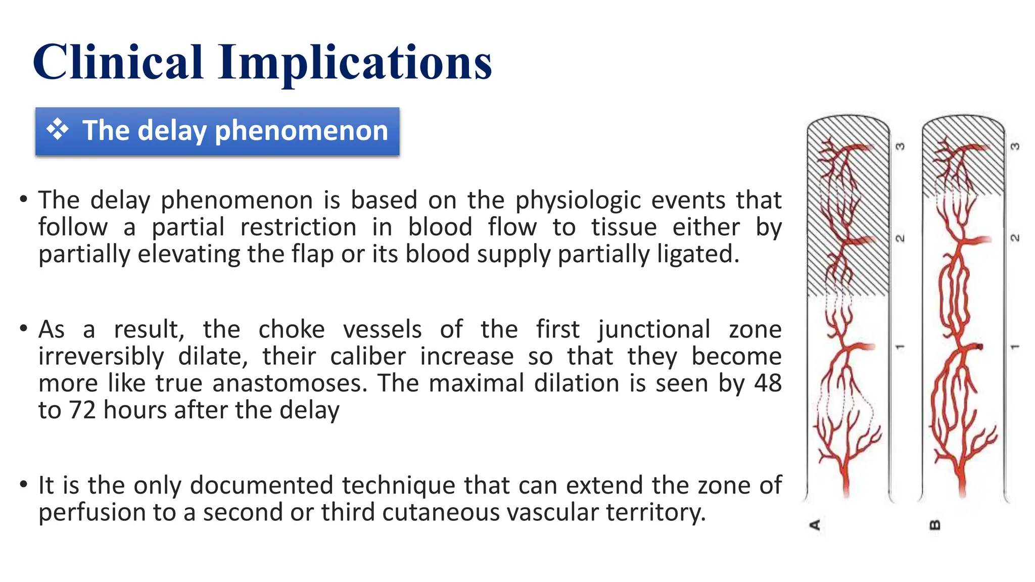 Angiosome Theory of Skin Vascular Territories | PPTX