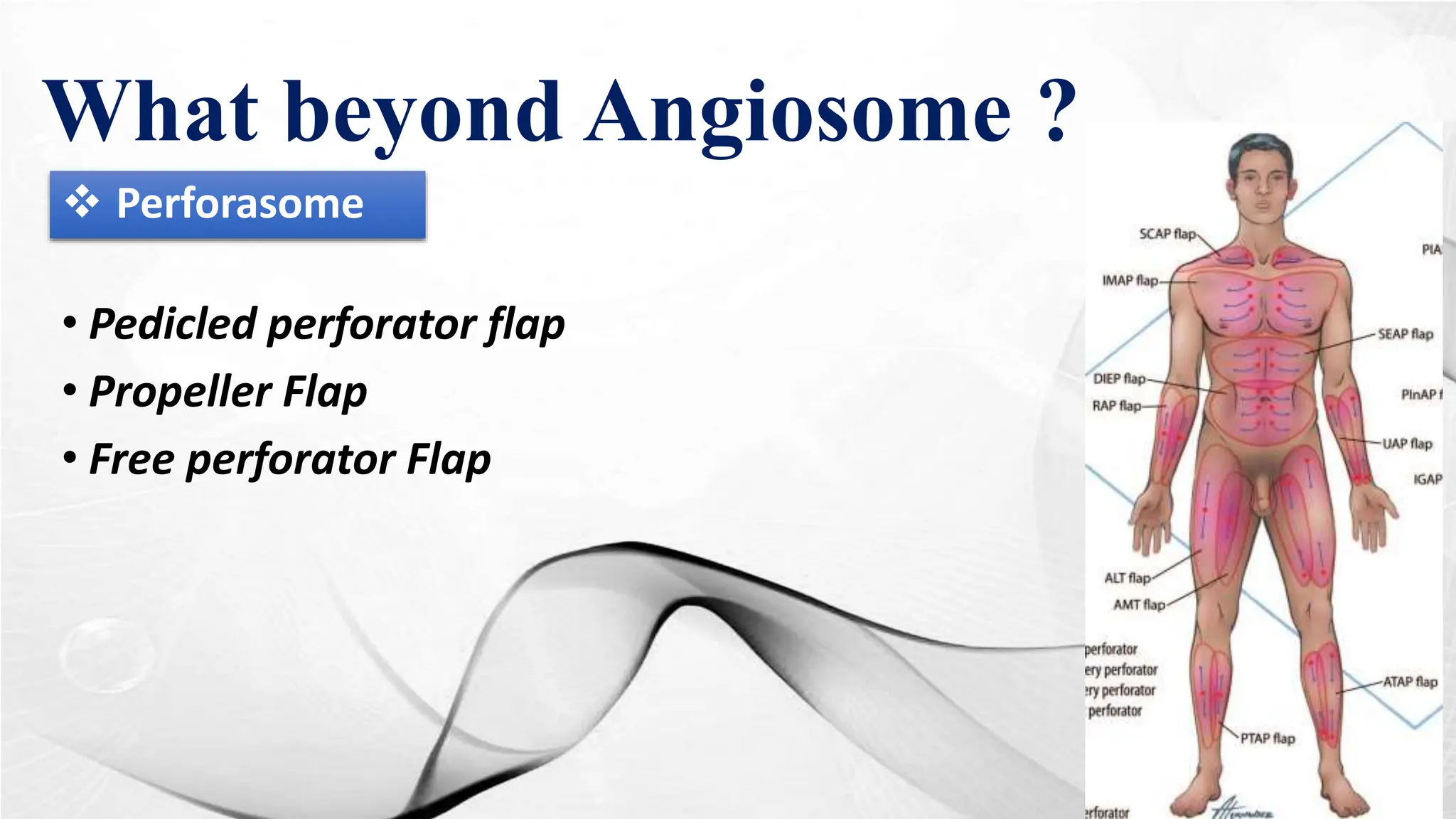 Angiosome Theory of Skin Vascular Territories | PPTX