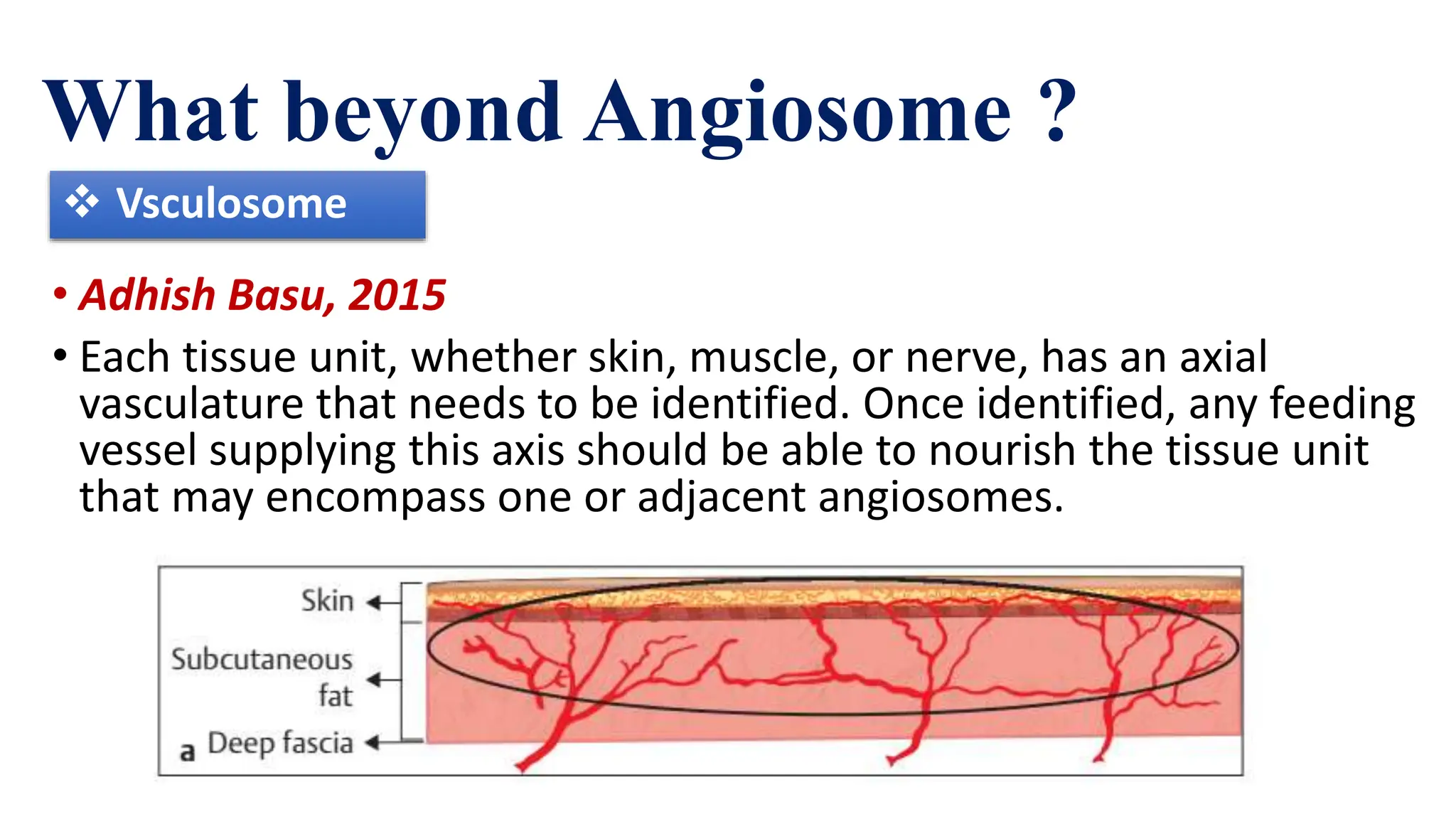 Angiosome Theory of Skin Vascular Territories | PPTX