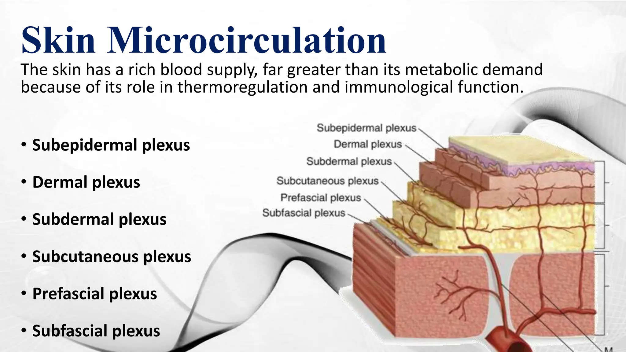Angiosome Theory of Skin Vascular Territories | PPTX