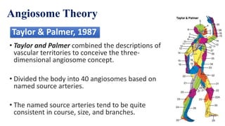 Angiosome Theory of Skin Vascular Territories | PPTX