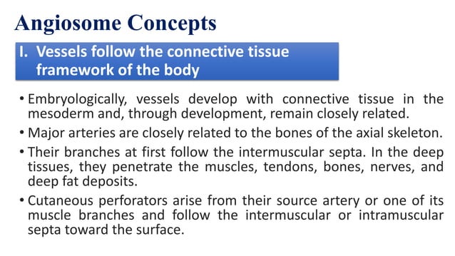 Angiosome Theory of Skin Vascular Territories | PPTX