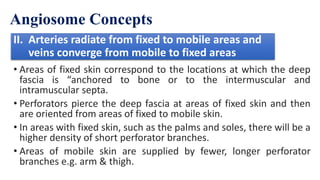 Angiosome Theory of Skin Vascular Territories | PPTX