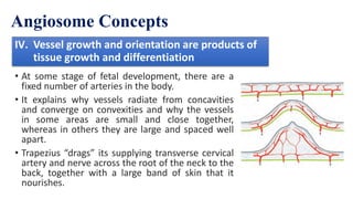 Angiosome Theory of Skin Vascular Territories | PPTX