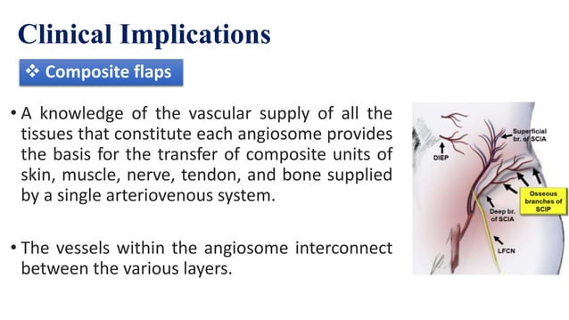 Angiosome Theory of Skin Vascular Territories | PPTX