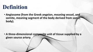 Angiosome Theory of Skin Vascular Territories | PPTX